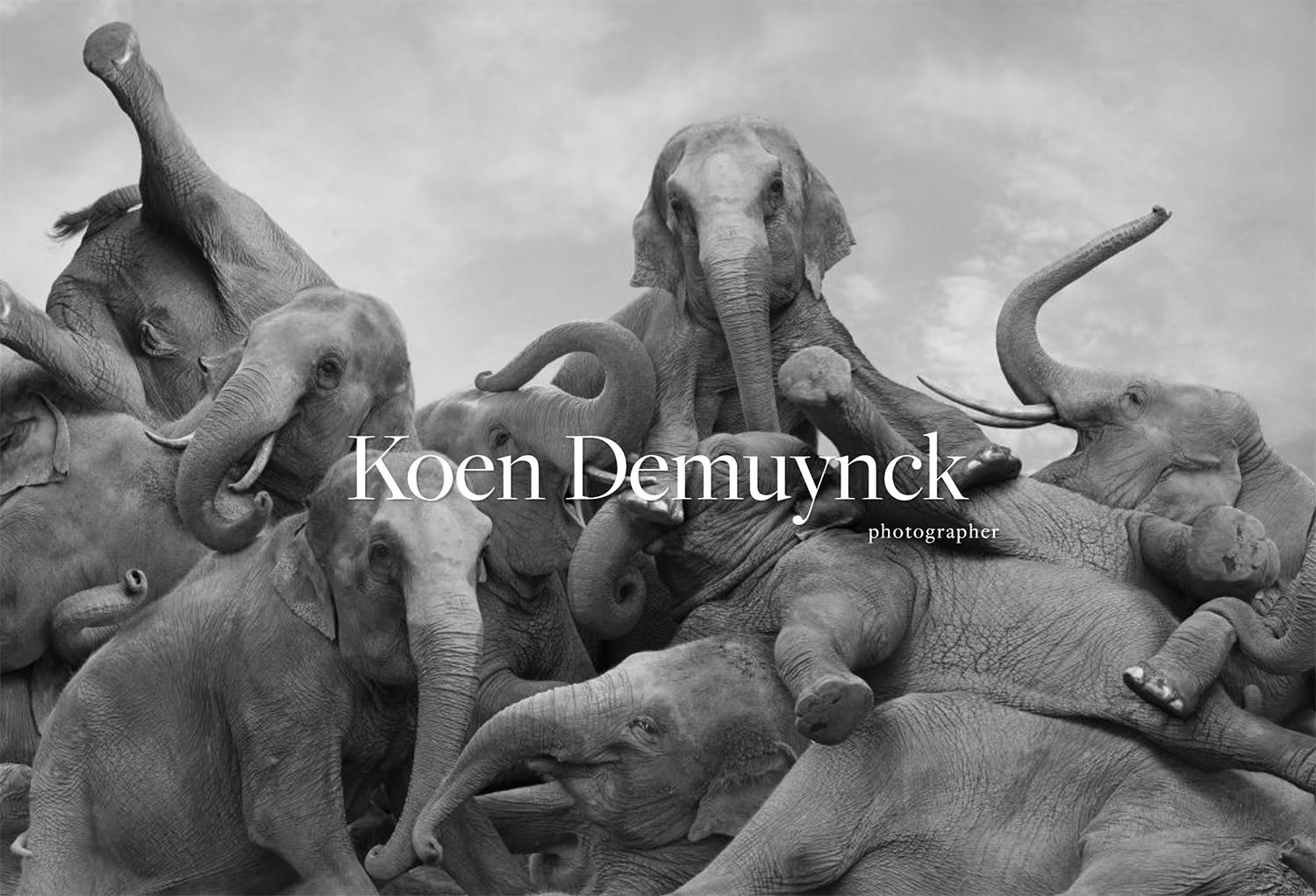 25 Great Photographers You Should Know (With Portfolios) - Hongkiat